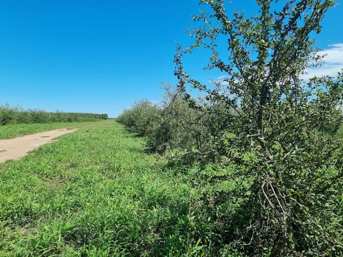 UNITÁN es la primera empresa en nuestro país en certificar bonos de ...